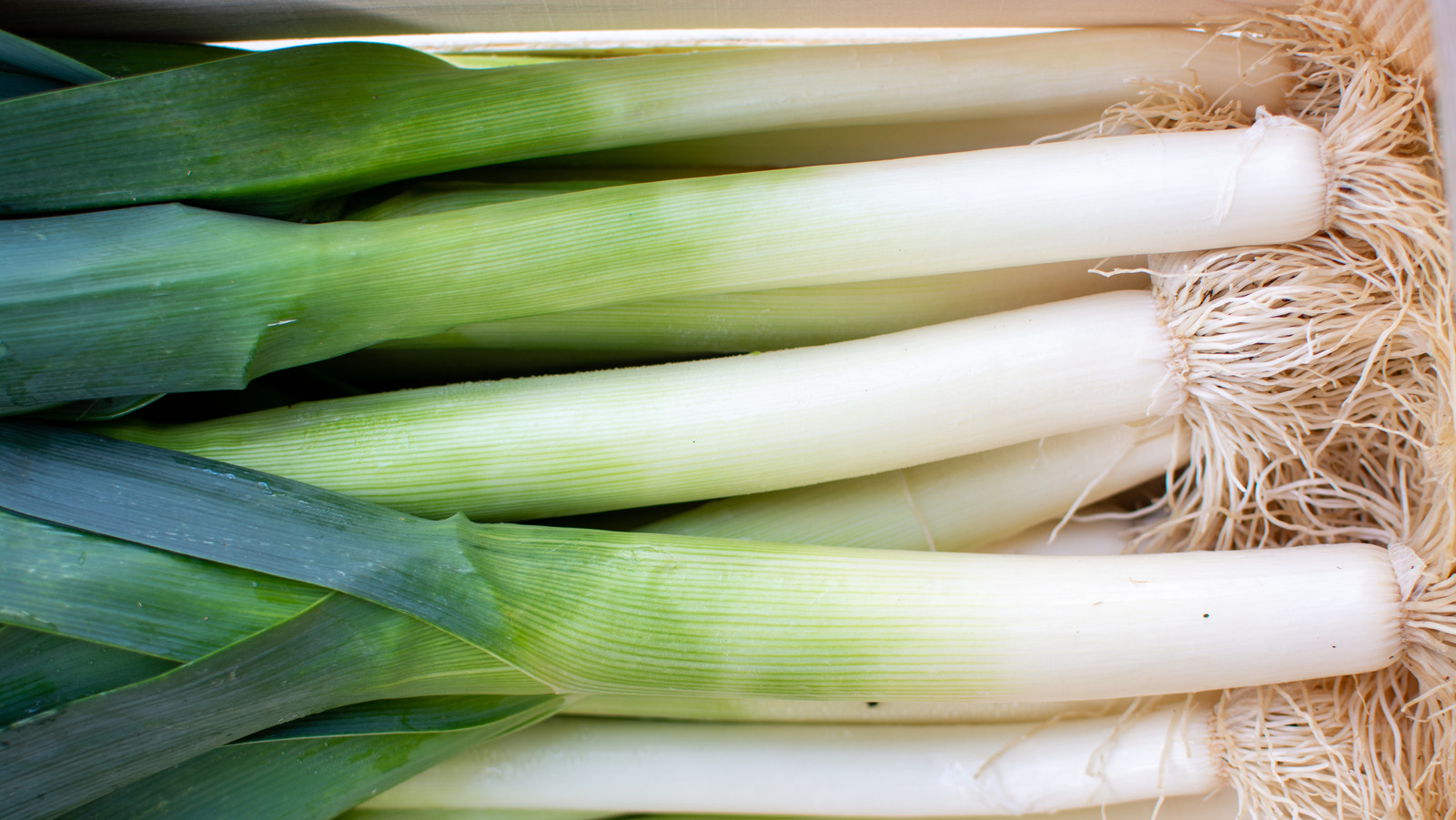 how to cook fresh leek